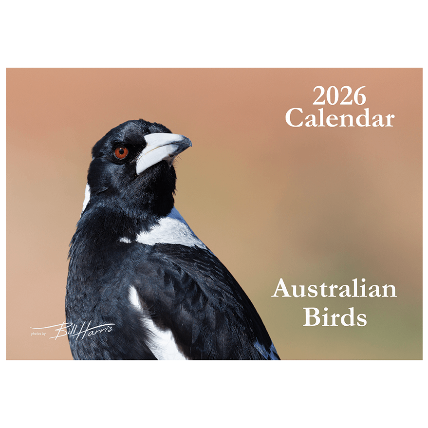 2025 Australian Bird Calendar A4 | Birds in Focus