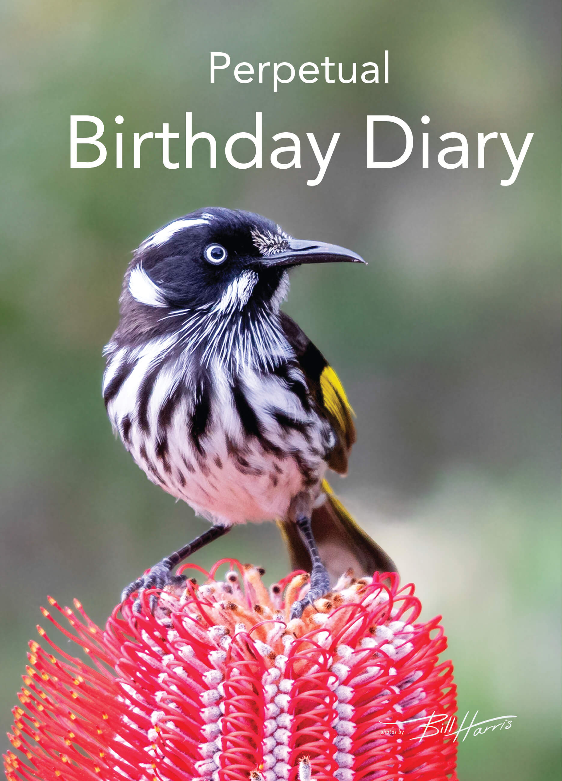 Perpetual Diary Australian Birds | Birds in Focus