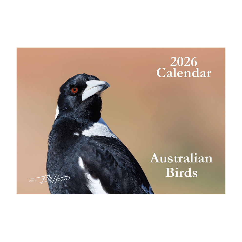 2025 Australian Bird Calendar A4 | Birds in Focus
