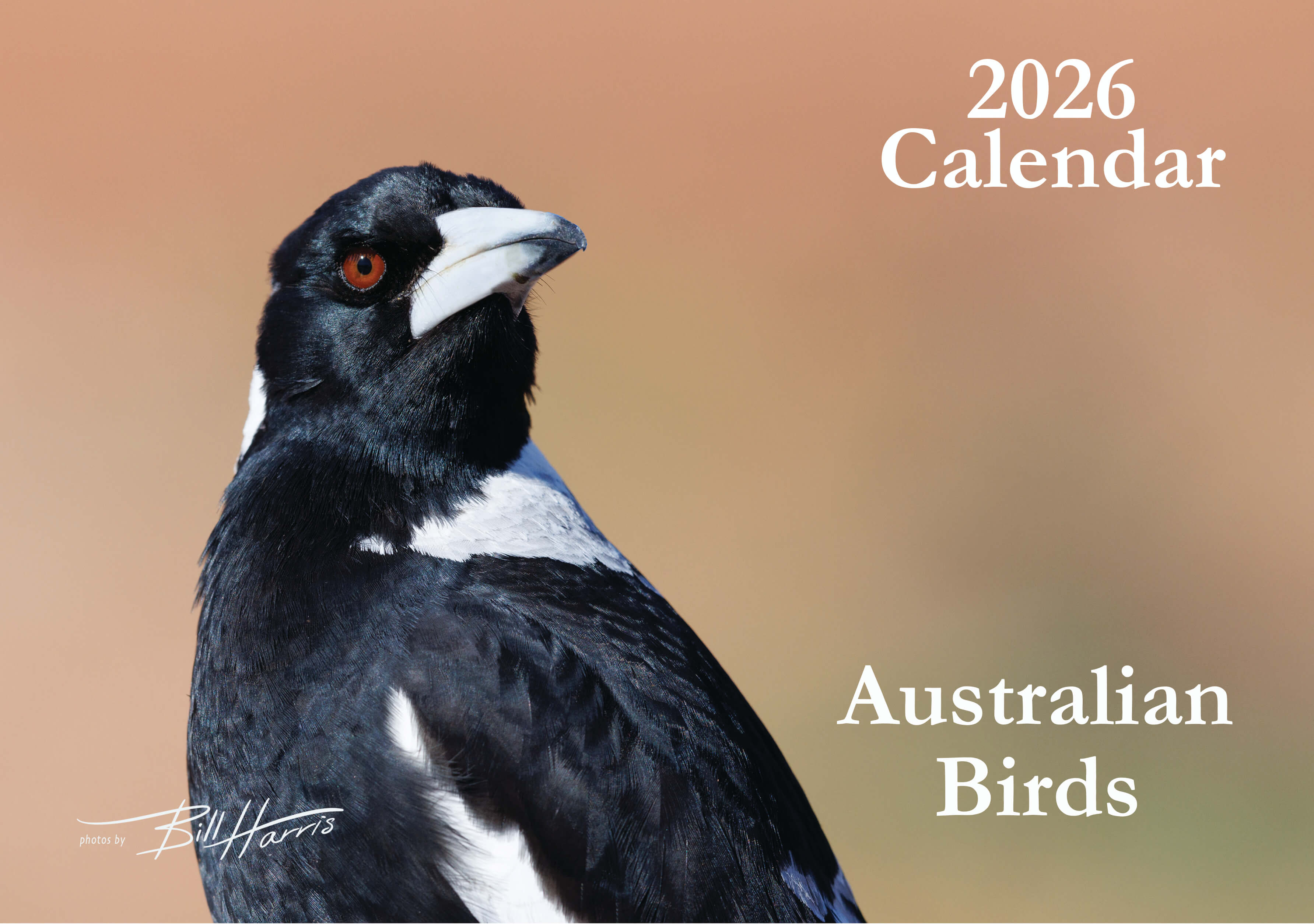 2025 Australian Bird Calendar A4 | Birds in Focus